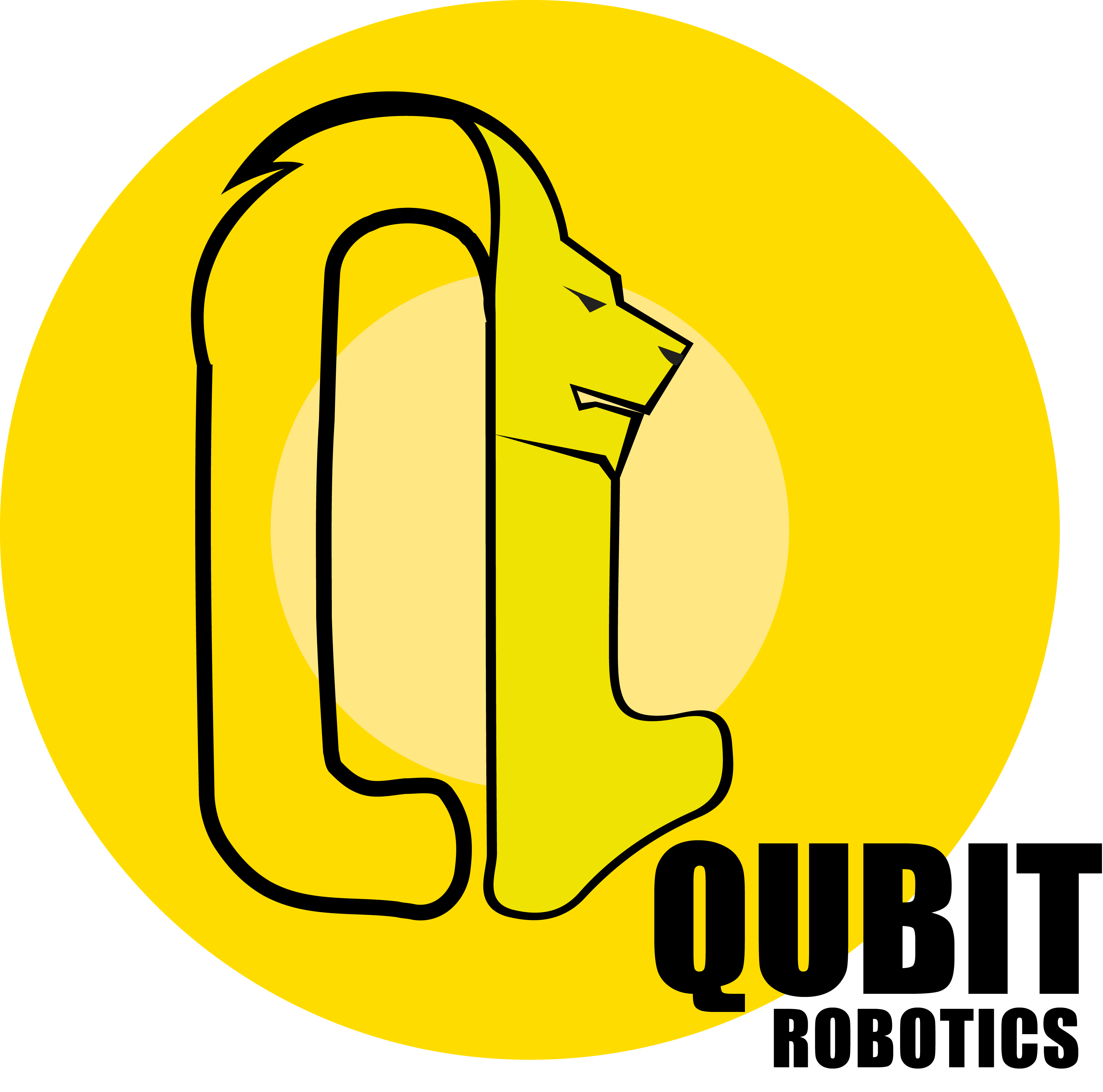 SALTO-YOUTH - Otlas - Qubit Robotics